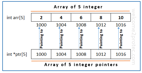 Array of pointers in C | welcome2protec