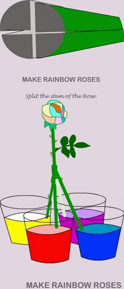 Popular DIY Crafts Blog: How to Make Rainbow Roses