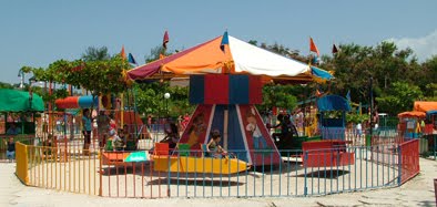 Con ojo de Gato: "Proyecto Gatos", 11na Bienal de La Habana Ileana ...