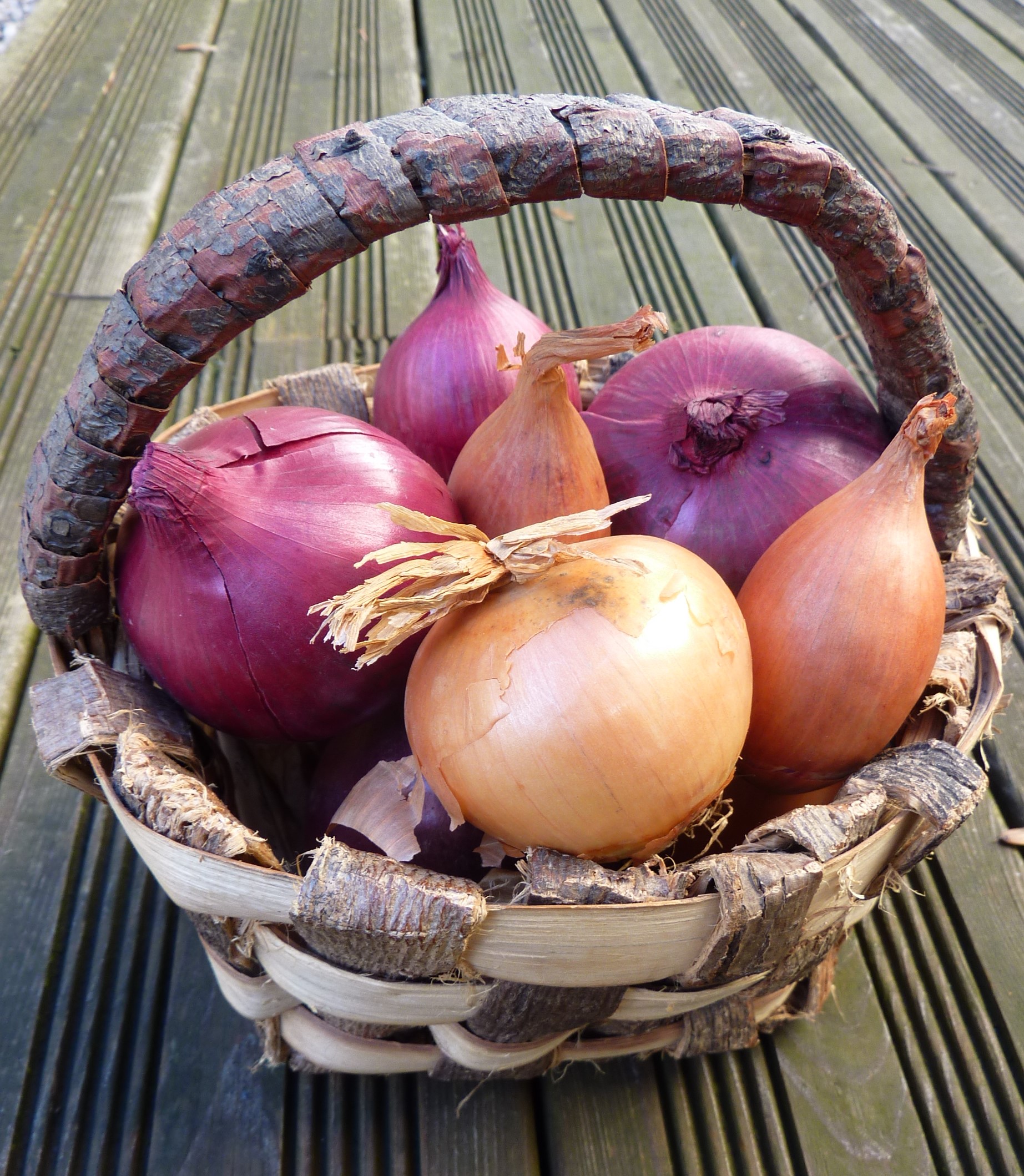 Tartelettes aux 3 oignons