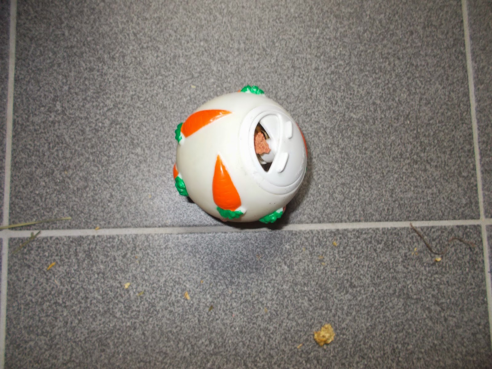 cavialiefde: Speelgoed voor de cavia.