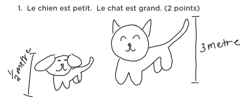 Using Drawings to Show Understanding