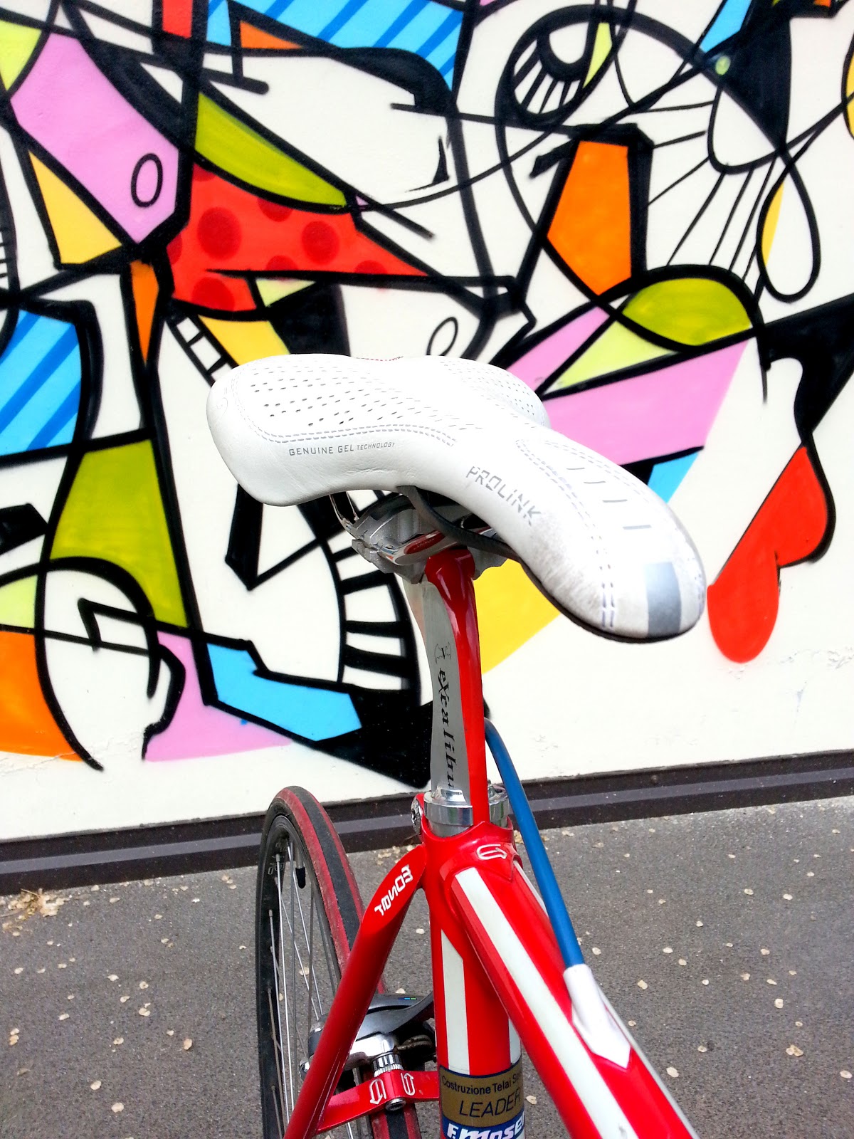 Raggi di Storia: Moser Leader CC 1989 oggi ! 51.151 Fixed