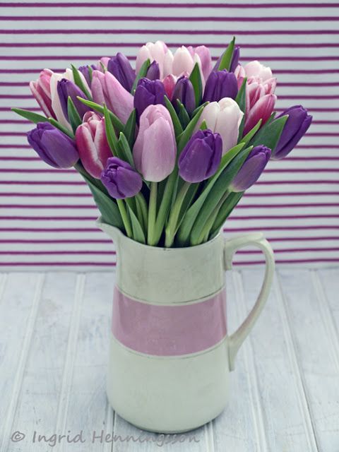 PLAAN : La Belleza Inigualable de los Tulipanes - Cada color 1 significado