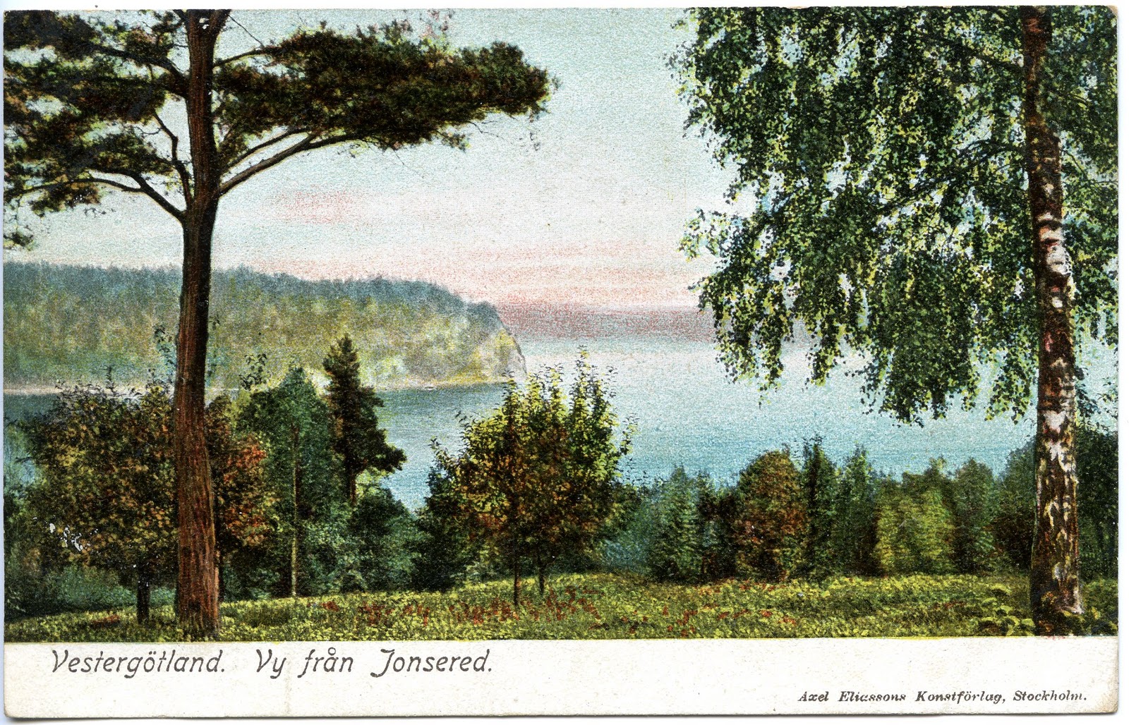 Axel Eliassons Konstförlag postcards: 2011