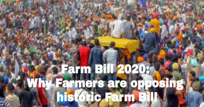 Farm Bill 2020 Why Farmers Are Opposing Historic Farm Bill farm-bill-2020-why-farmers-are-opposing-historic-farm-bill