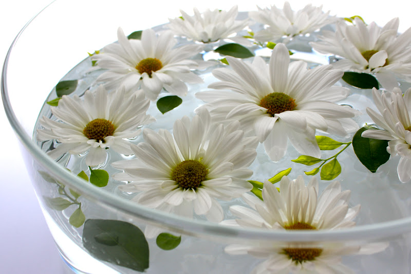 Floating Flowers - Free to be Lea