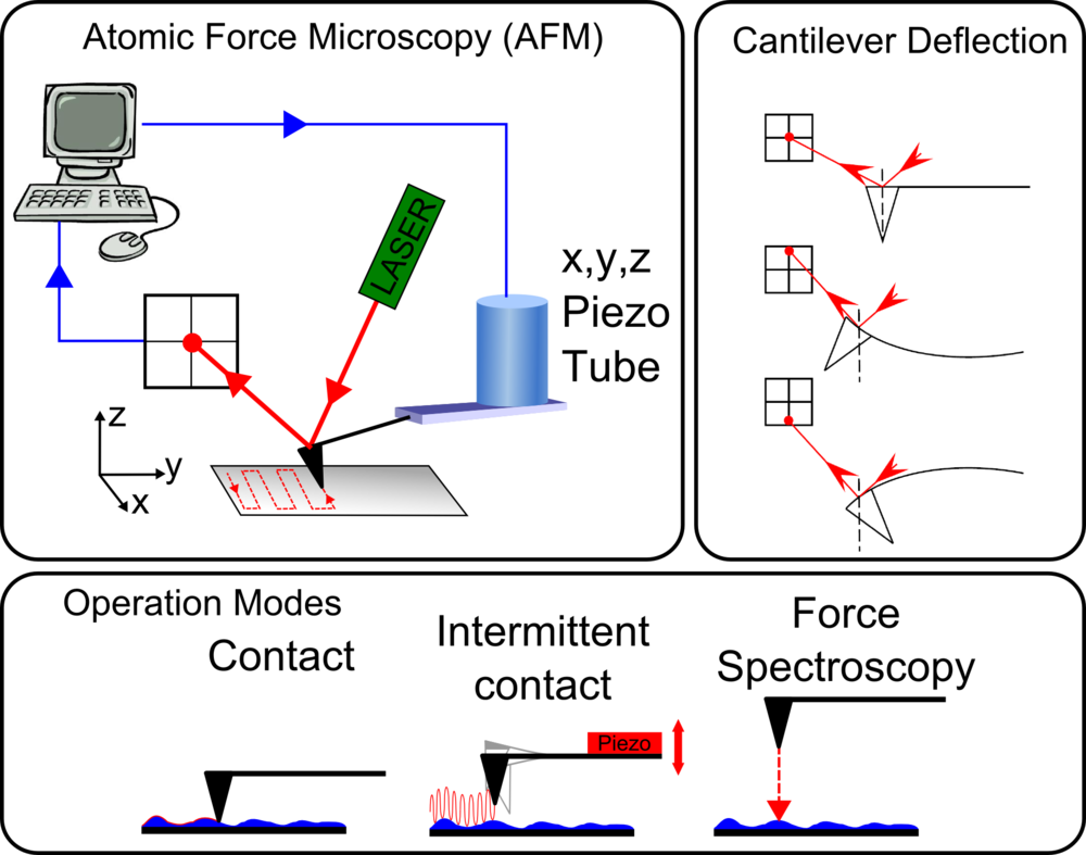 Perbedaan STM (Scanning Tunnelling Microscope) dan AFM (Atomic Force ...