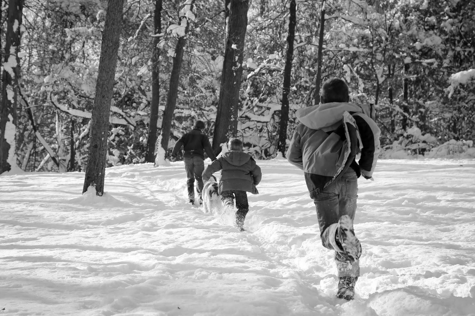 Caryn Ashley Photography