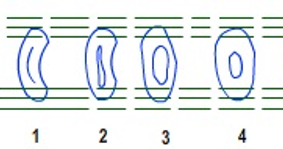 What is Mercerization process of textile? | How to mercerize a cotton ...