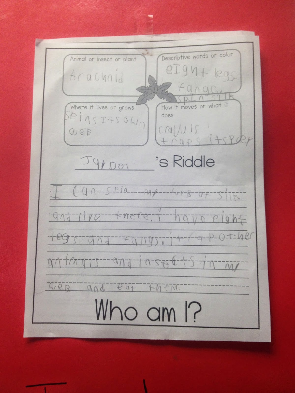 Special Education Strategies And More...