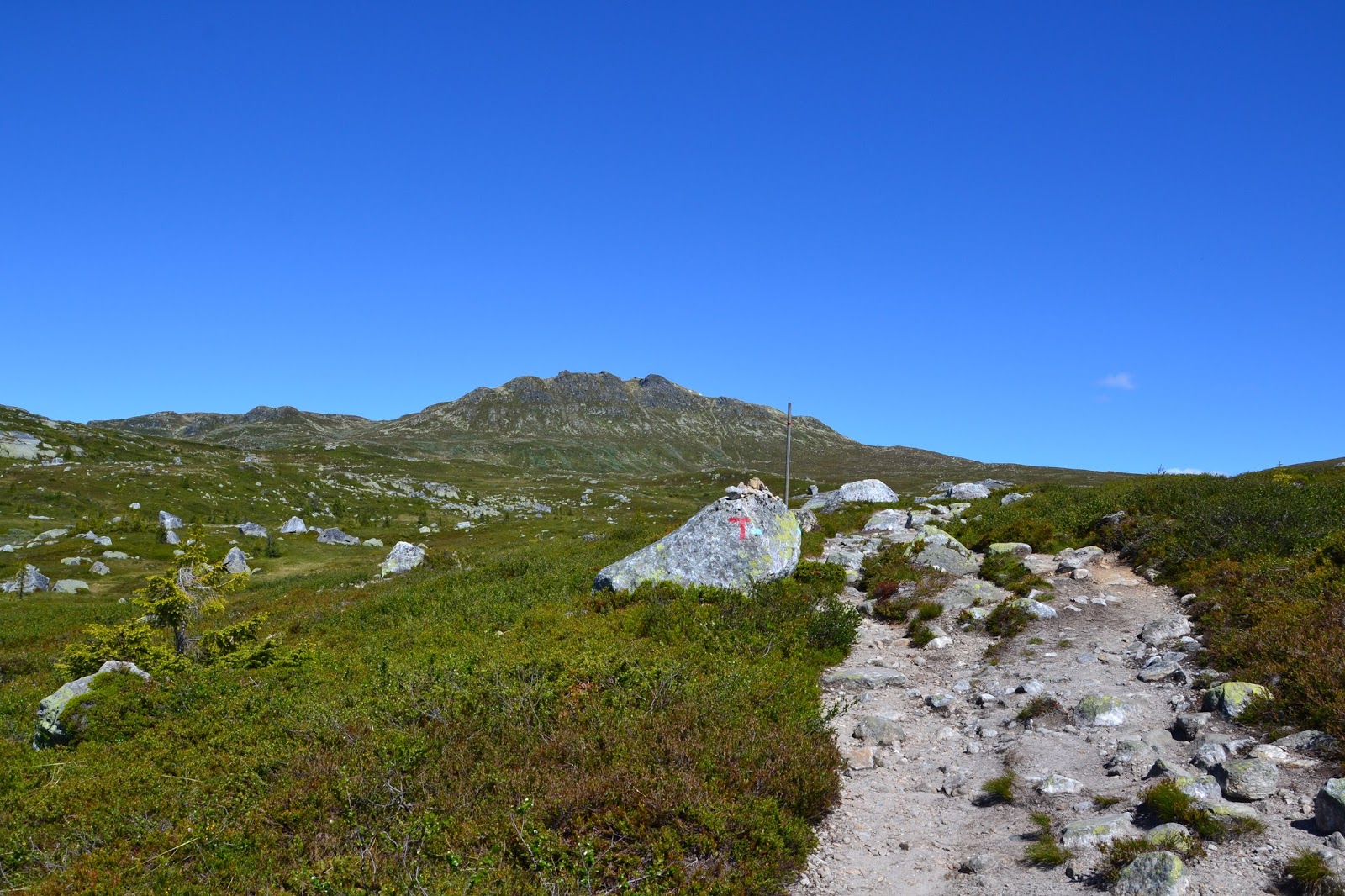 Rundtur Tempelseter - Ranten - Tempelseter 27.06.17