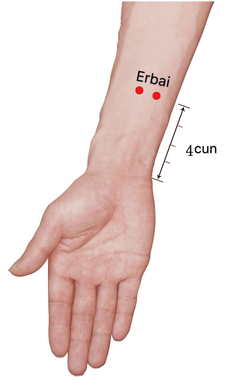 Blog Le Souffle du Menhir: Er Bai / èr bái 二白 les deux blancs