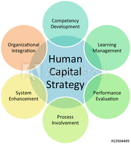 Human Capital | Types, Models, Elements, Importance & Evaluate
