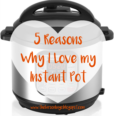 The Larson Lingo: 5 Reasons Why I love my Instant Pot