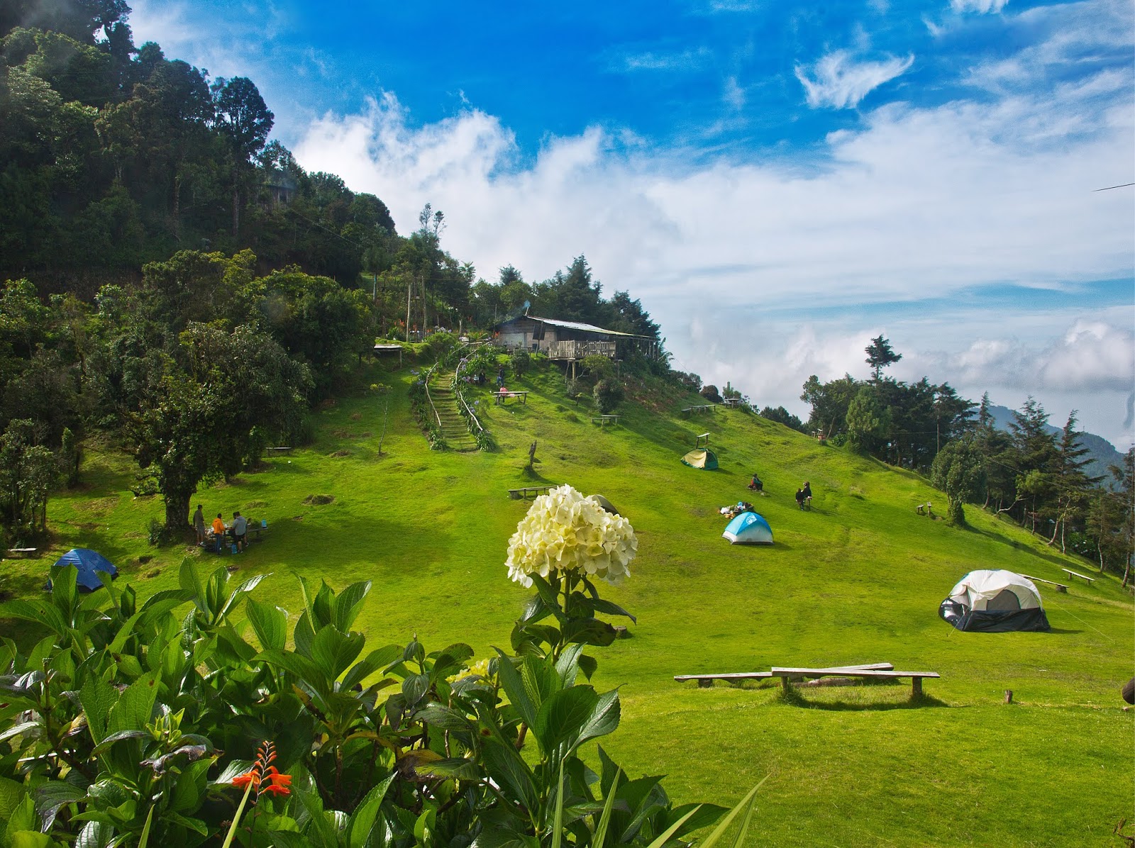 Parques Nacionales: Nuestro Pequeño Alaska - El Pital