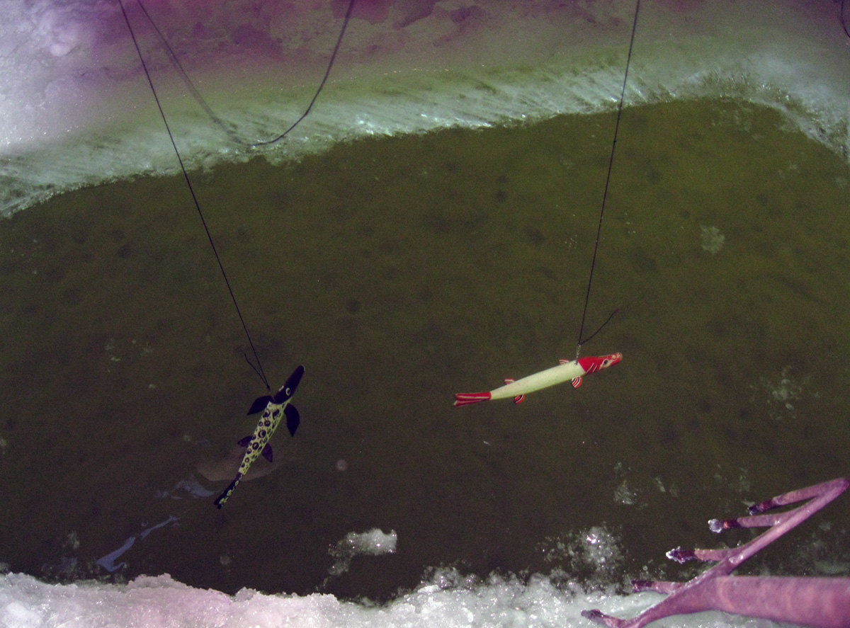 Fish Decoy Chronicles: Spearing with Lucy and Old and New Decoys: Frank ...