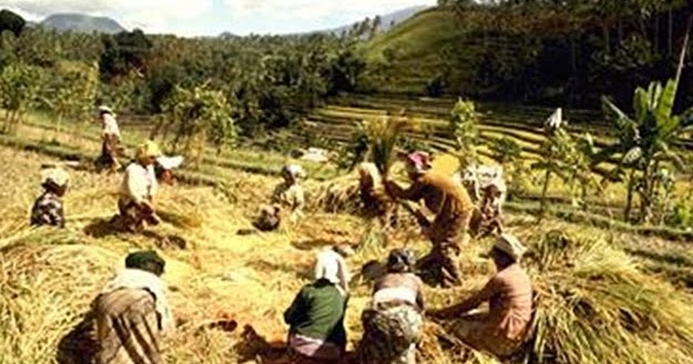 PEKERJAAN MASYARAKAT DESA SUMBEROTO - Desa Sumberoto Kecamatan Donomulyo