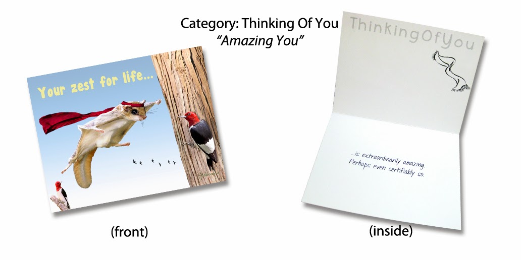 New Age Mama: Inspirational Cards from Shaboo Prints