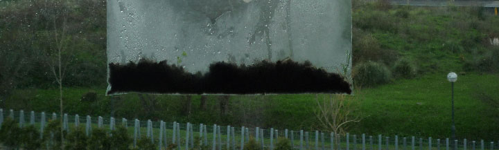 Lagarto Dixital: febrero 2013