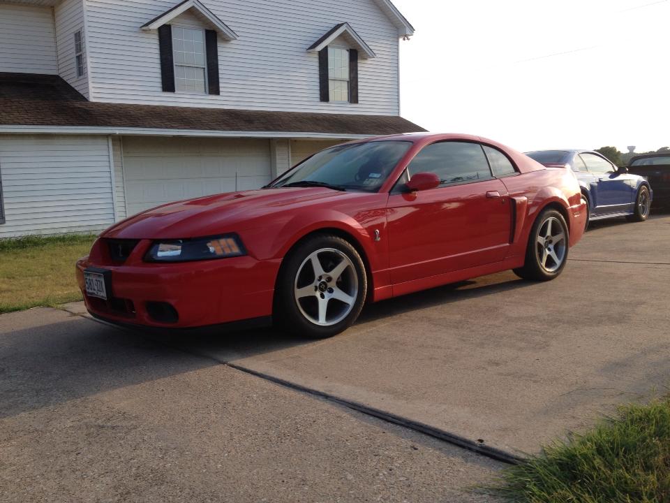 Whiteboy's Mustangs: 2003 mustang cobra Torch red svt#1736