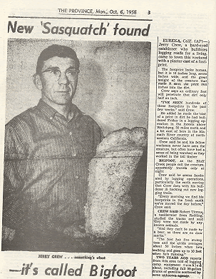 NO HAY VUELTA ATRÁS...: DESTRIPANDO A BIGFOOT, AL YETI, SASQUATCH….