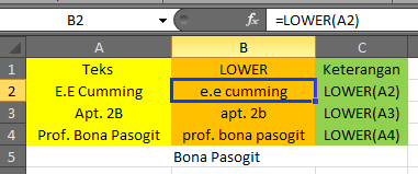 Fungsi LOWER Pada Excel dan Penggunaanya - Student Terpelajar - Media Pembelajaran dan Informasi