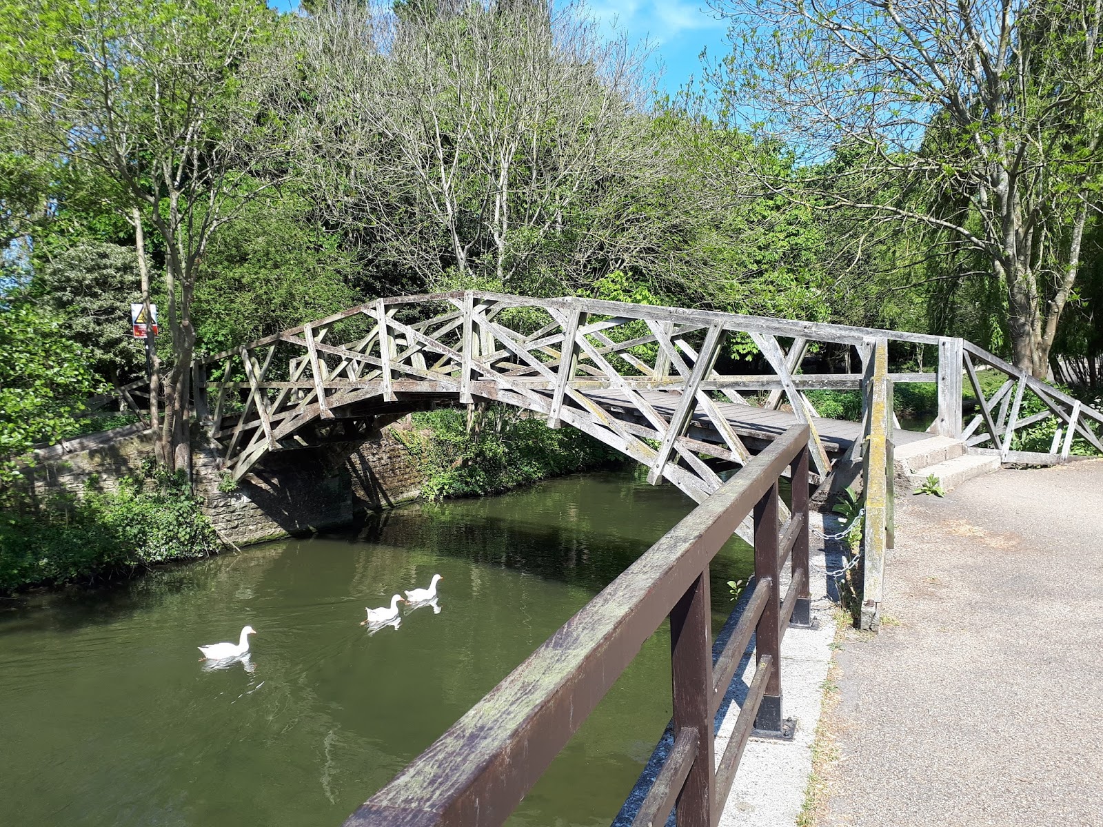 and Millie makes three: Above Eynsham Lock (River Thames) – Monday 8th May