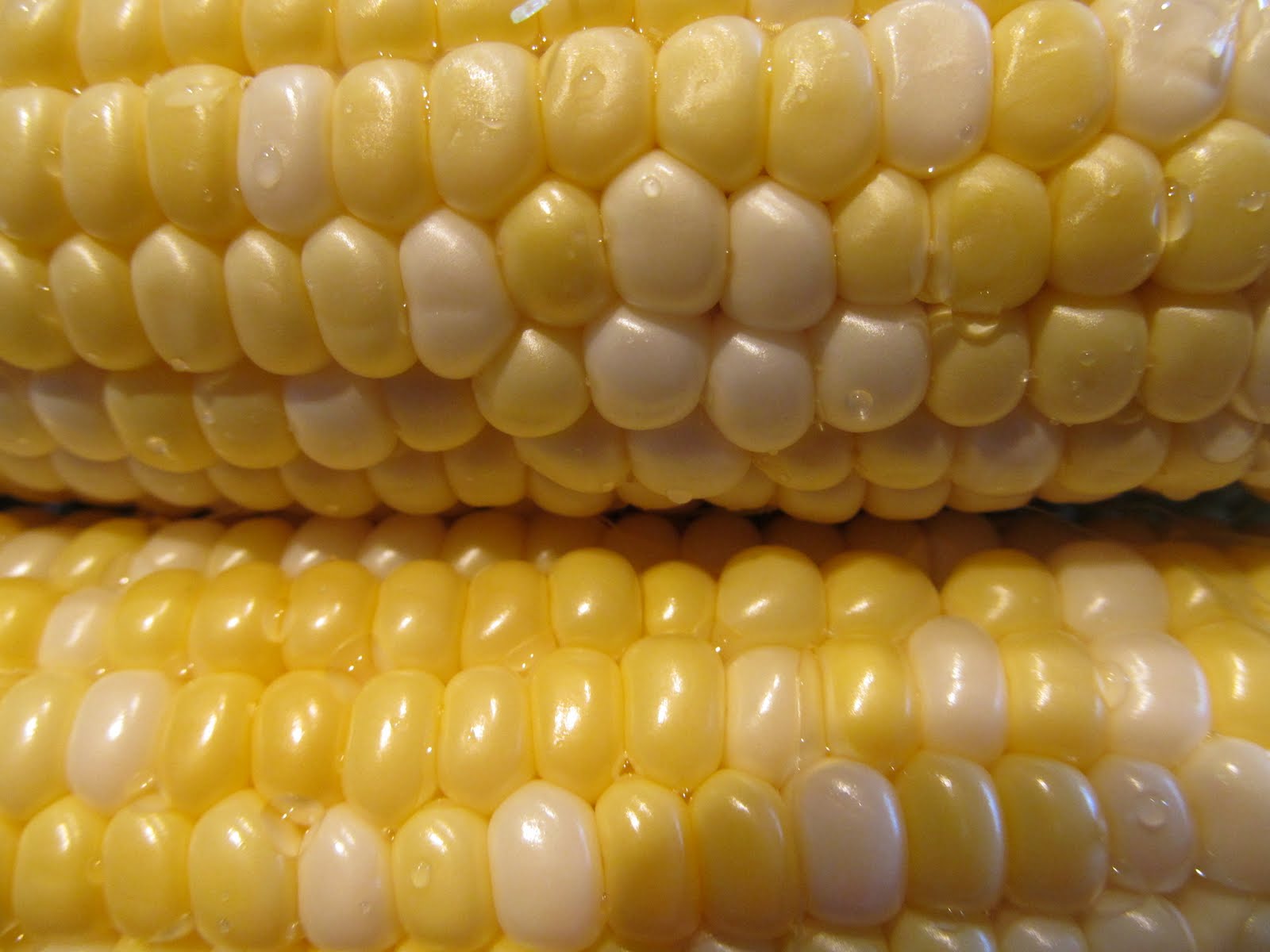 I Need Mom!: Corn Chowder "Light"