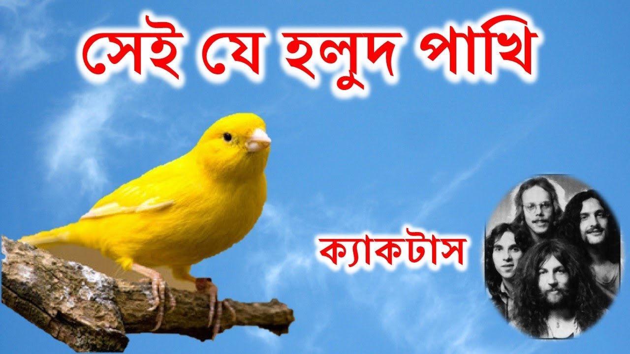 Bengali Songs Note: Sei Je Holud Pakhi Songs Note | bengali songs note