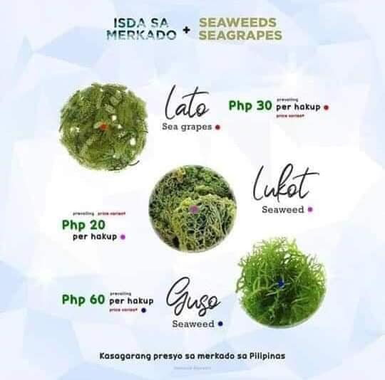 Ibat-Ibang Klase ng Isda at Iba Pang Laman-Tubig na Karaniwang Mabibili ...