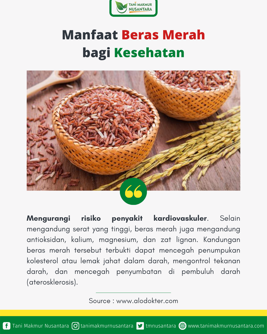 Manfaat Beras Merah bagi Kesehatan - Tani Makmur Nusantara