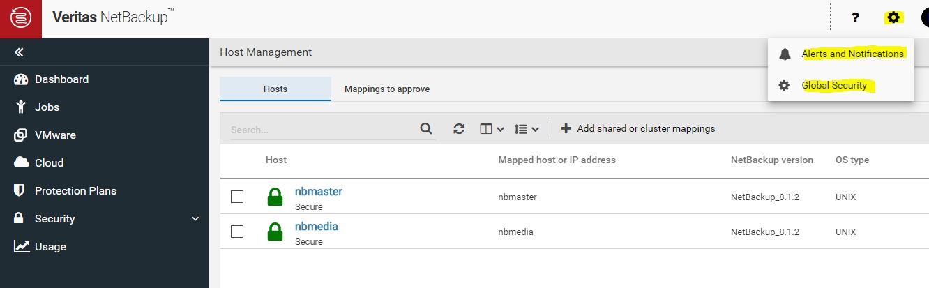 Remote Infrastructure Management: Veritas NetBackup 8.1.2 WebUI ...