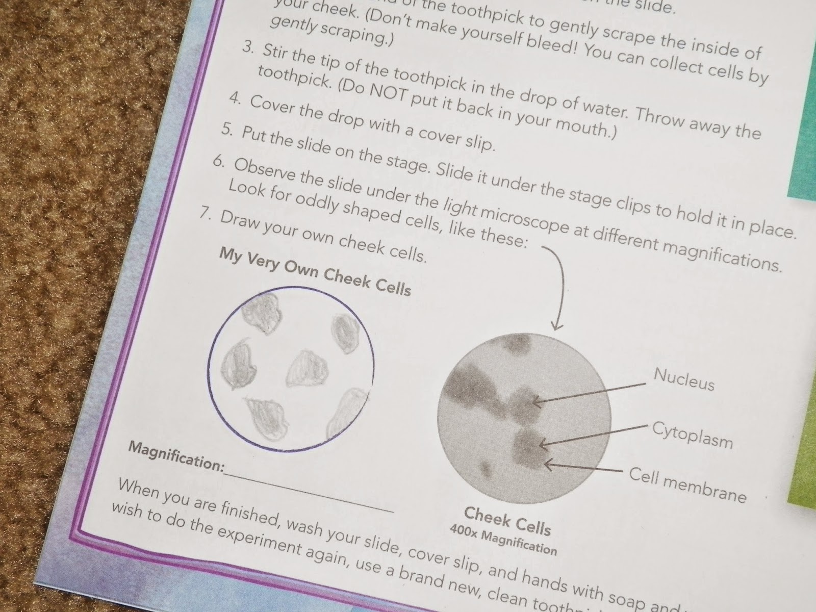 mygreatfinds: Nancy B's Science Club Microscope From Educational ...