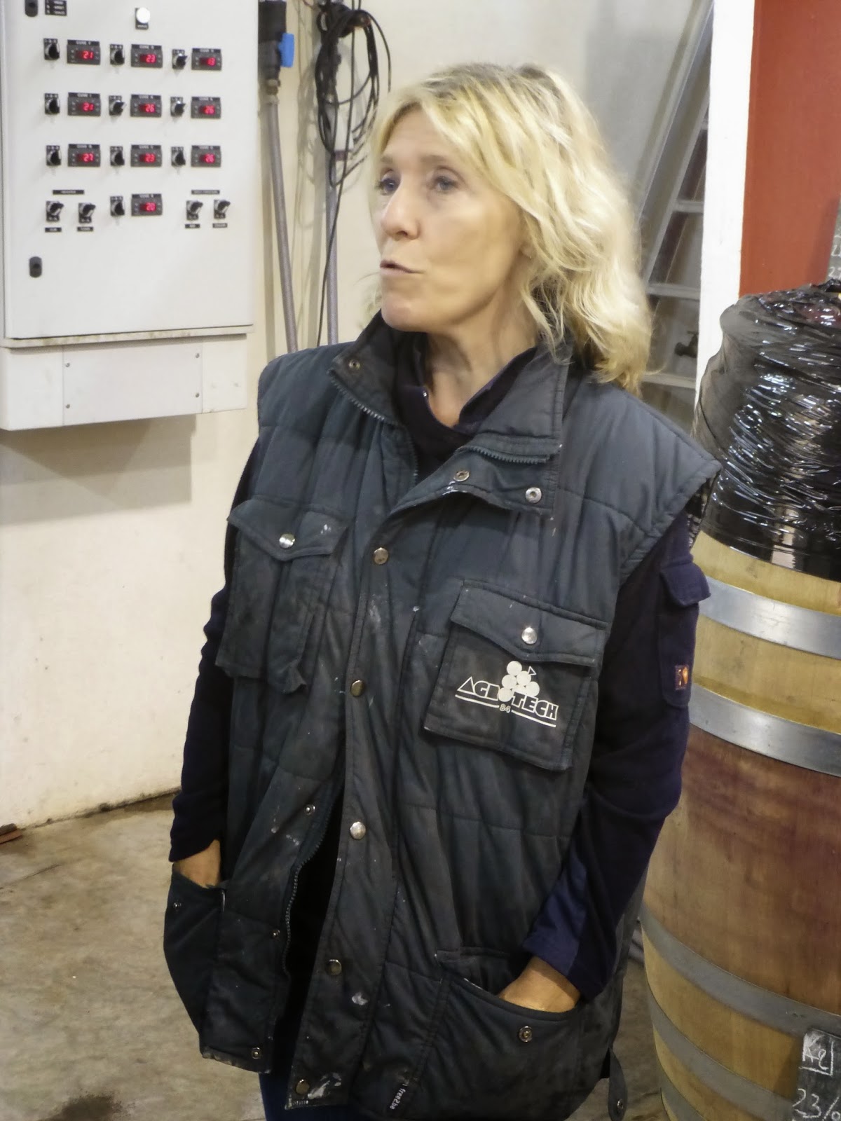 The French Chronicle: Domaine Isabel Ferrando, Saint Prefert ...