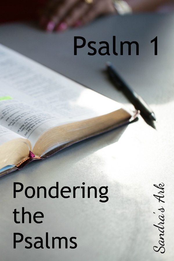 Sandra's Ark: Pondering the Psalms - Psalm 1