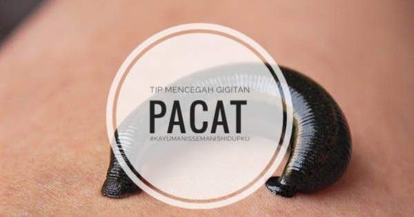 Tips Mencegah Gigitan Pacat - Unni Anje