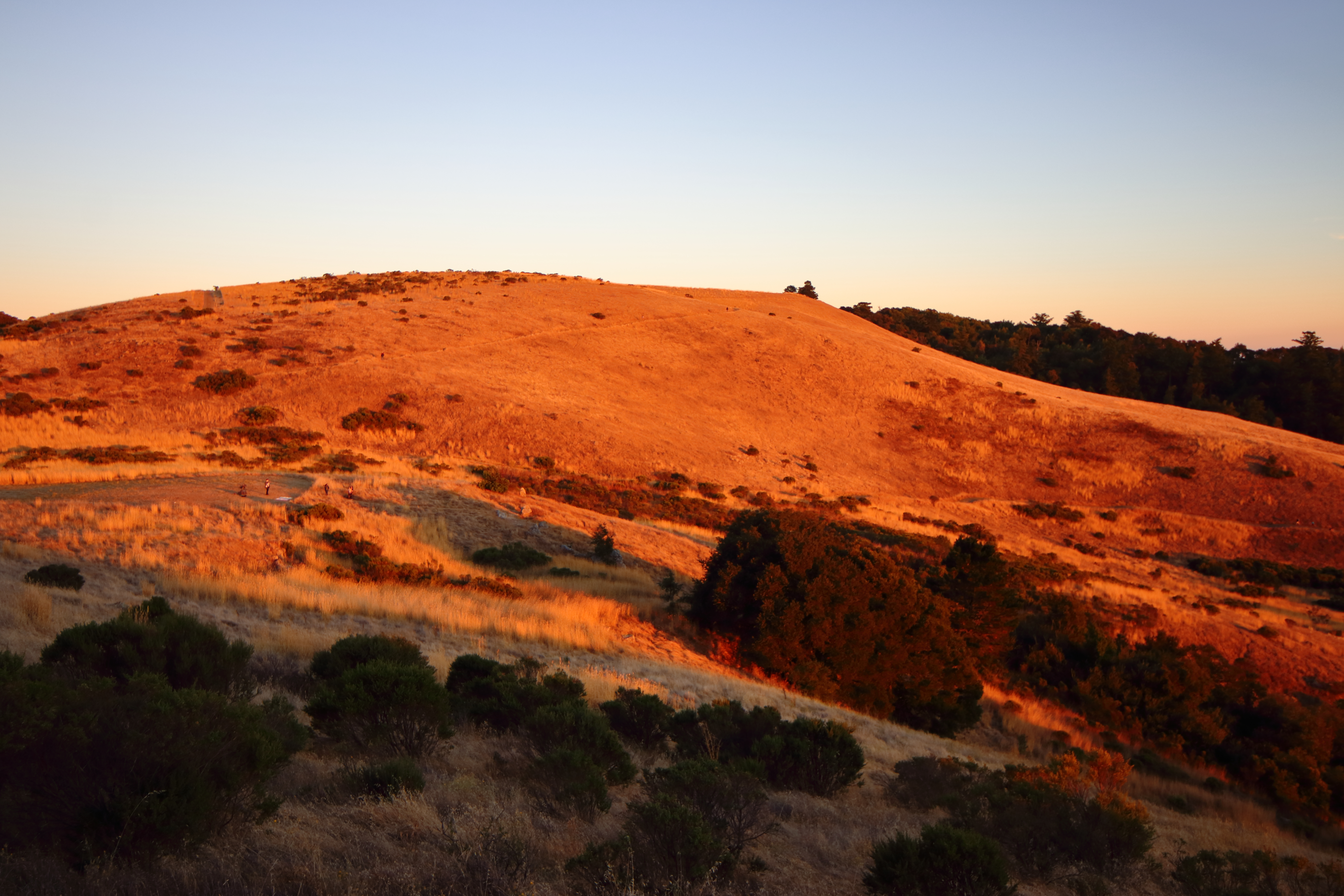 Russian Ridge Preserve