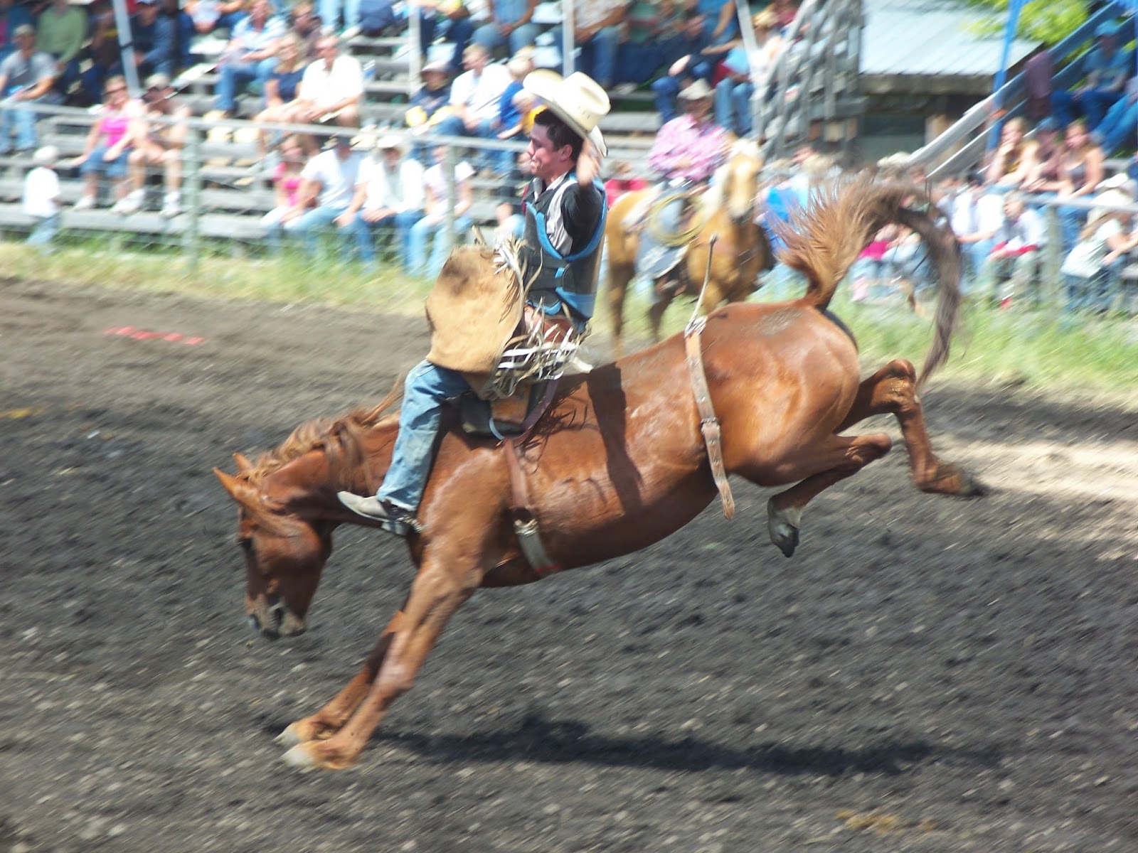 Nelson Ranch: July/Aug Rodeo and Hay Making Season