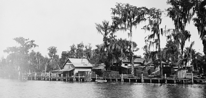 CENTRAL FLORIDA'S PROUD HISTORY: In Search of the Phillips Satsuma Grove