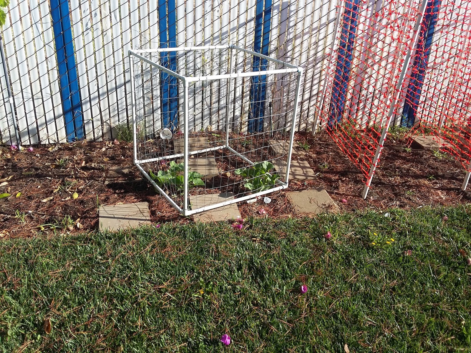 The Scientific Gardener: Mid-July Fertile Garden Update