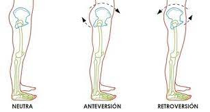 MOVIMIENTOS DE LA PELVIS. Retroversión y anteversión.