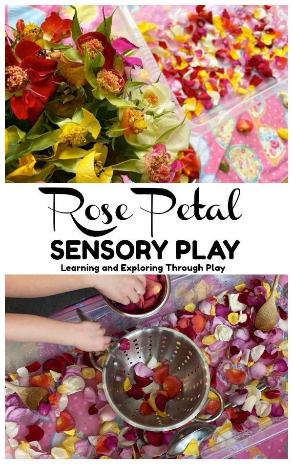 Learning and Exploring Through Play: Rose Petal Water Sensory Play