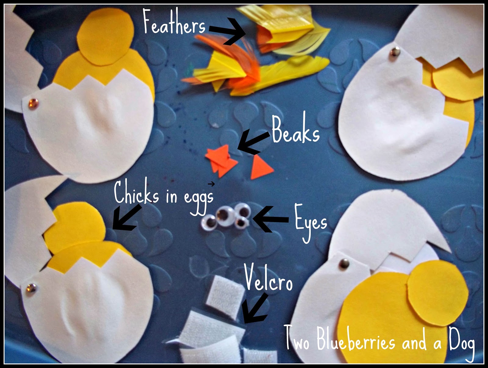 Two Blueberries and a Dog: Little Chicks for my two Little Chicks!