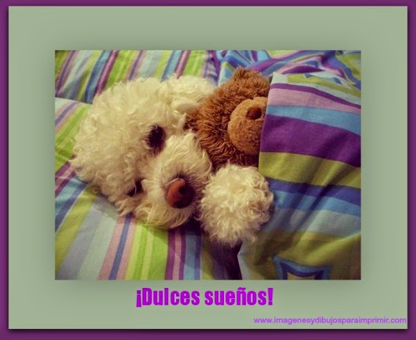 Dulces sueños | Frases para compartir con imagenes