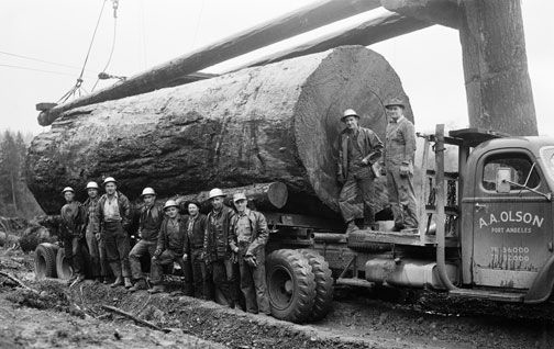 Just A Car Guy: one way to load a logging truck, a boom mounted to a ...