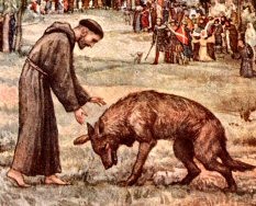 Pastoral Vocacional Franciscana: LOS MOTIVOS DEL LOBO
