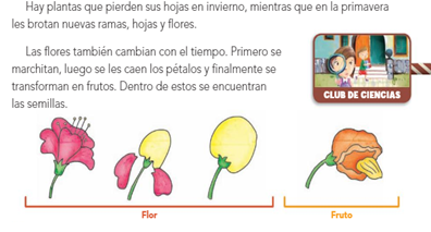 Escuela Privada "Arco Iris": Ciencias Naturales y Educ. Tecnológica