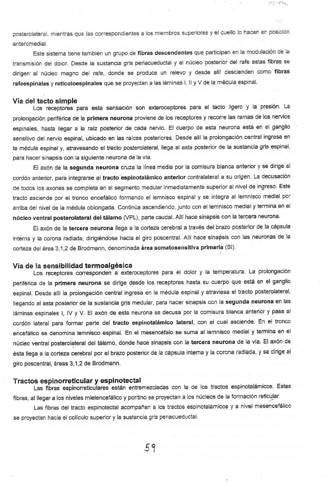 Estudiante de medicina : Apunte de neuroanatomia de Forlizzi Pro