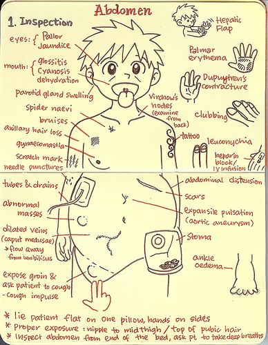 Med4yu: Abdomen examination